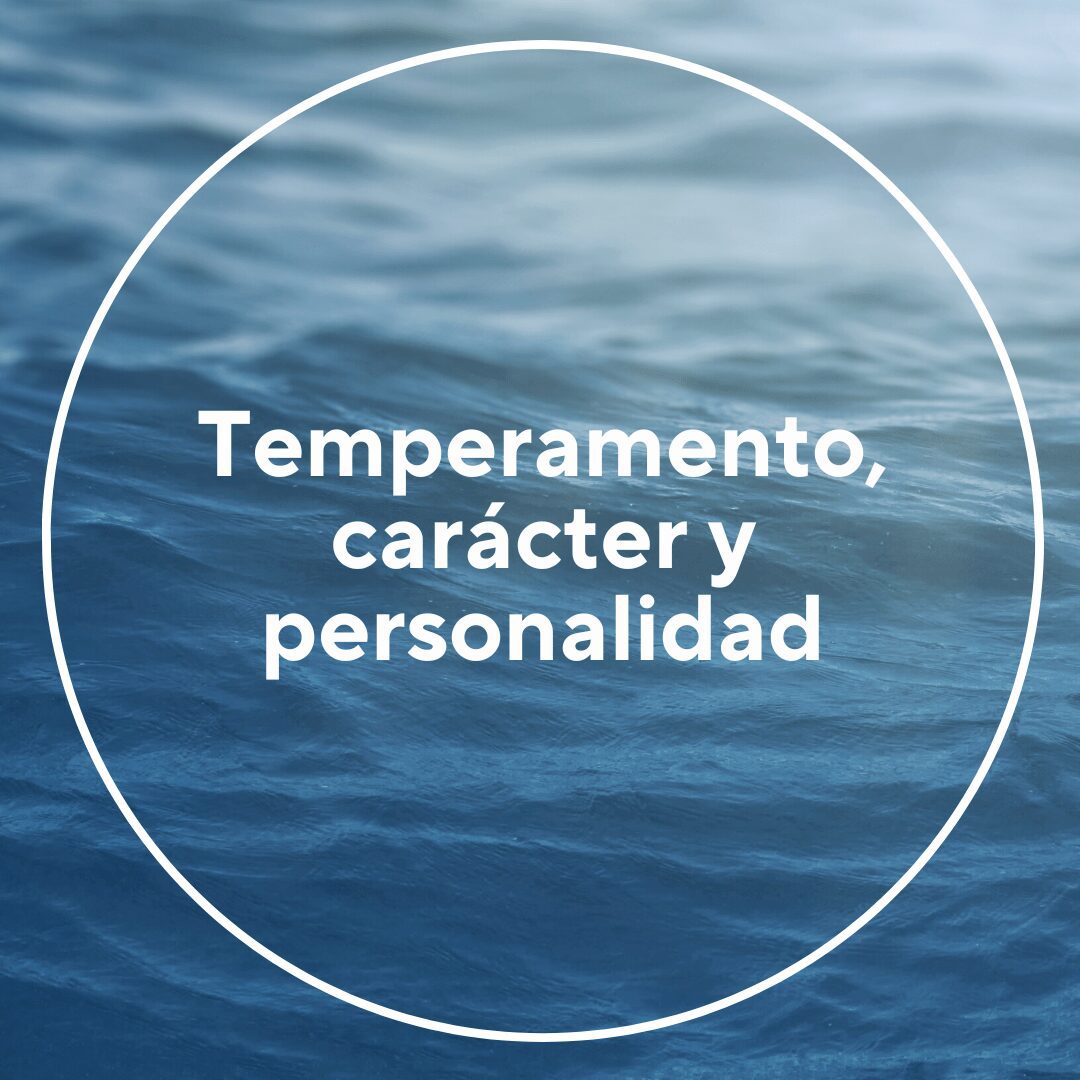 Rasgos De Personalidad Y Carácter